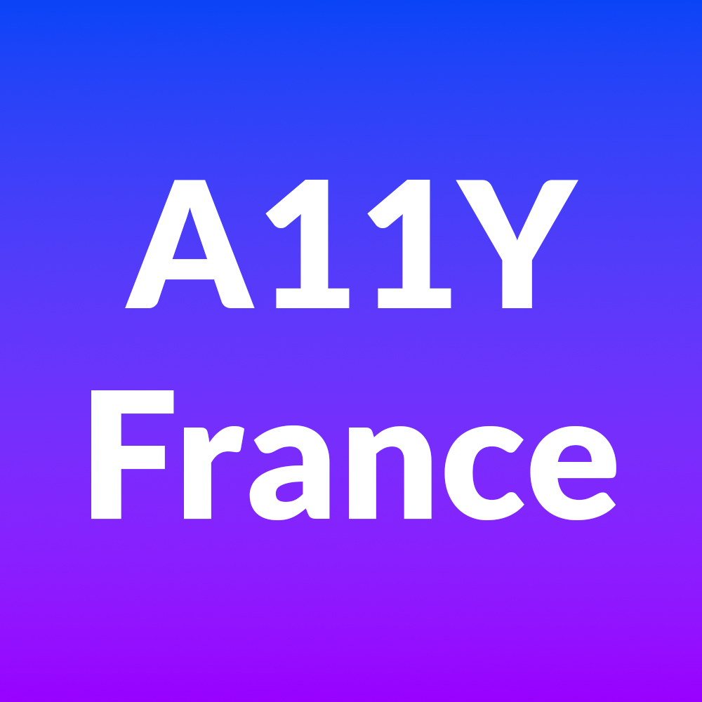 Lancement d’a11y France : un nouveau cap pour l’accessibilité numérique ...